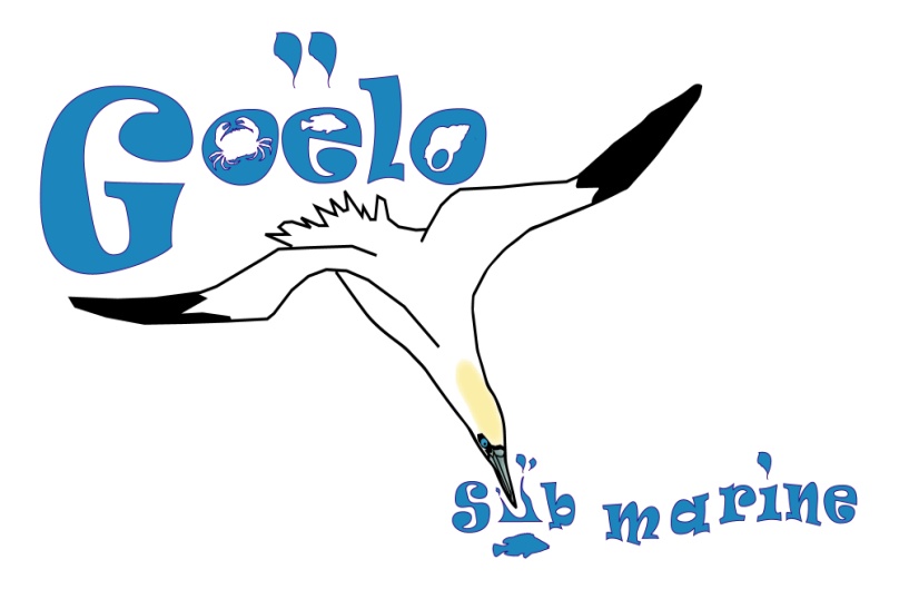 L'historique - Goelo SubMarine